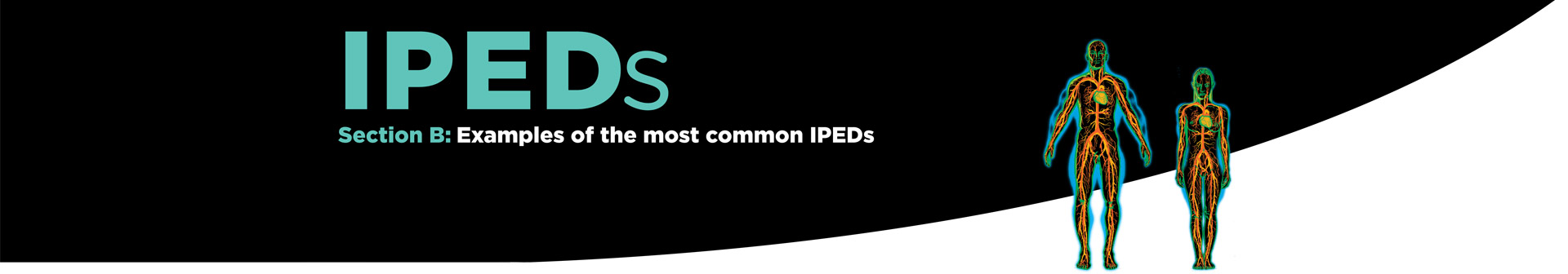 Anabolic Steroids and Associated Drugs – IPEDs | Anabolic Androgenic ...